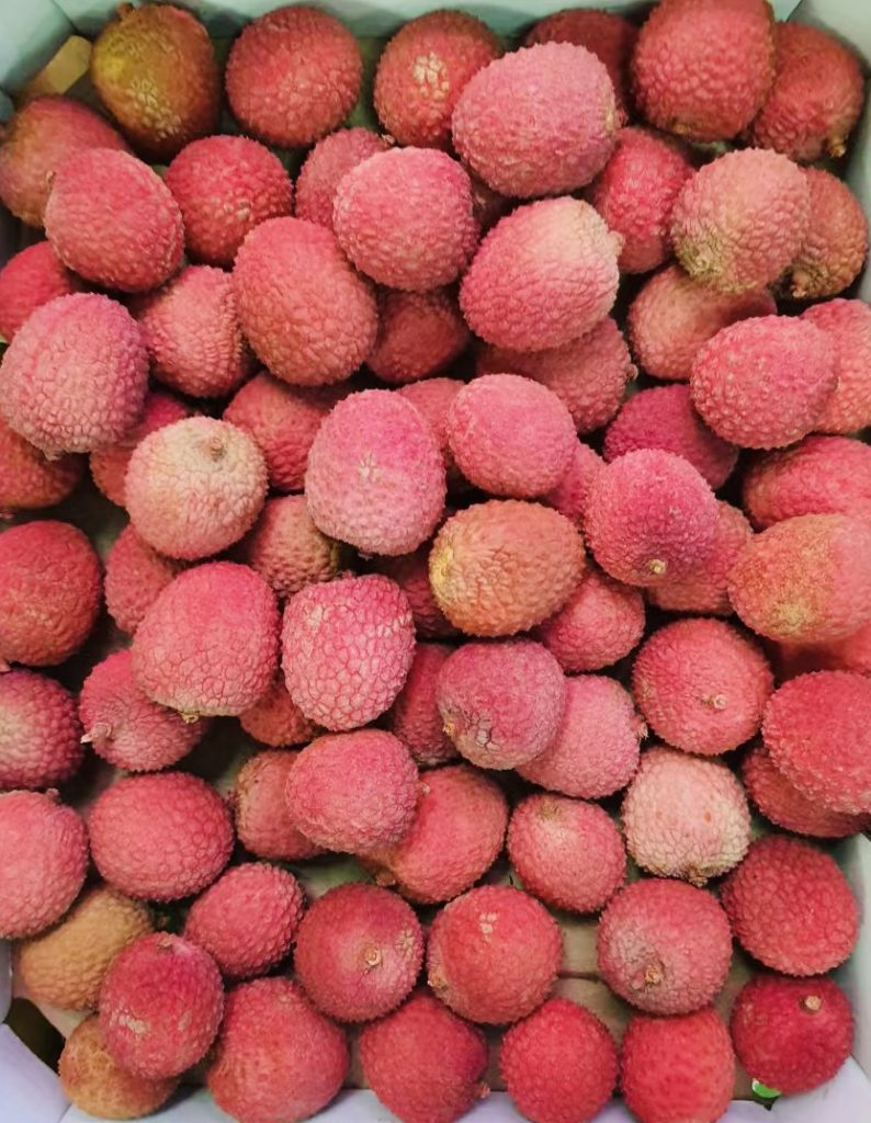 荔枝 Lychee 400g – 嘉年华超市